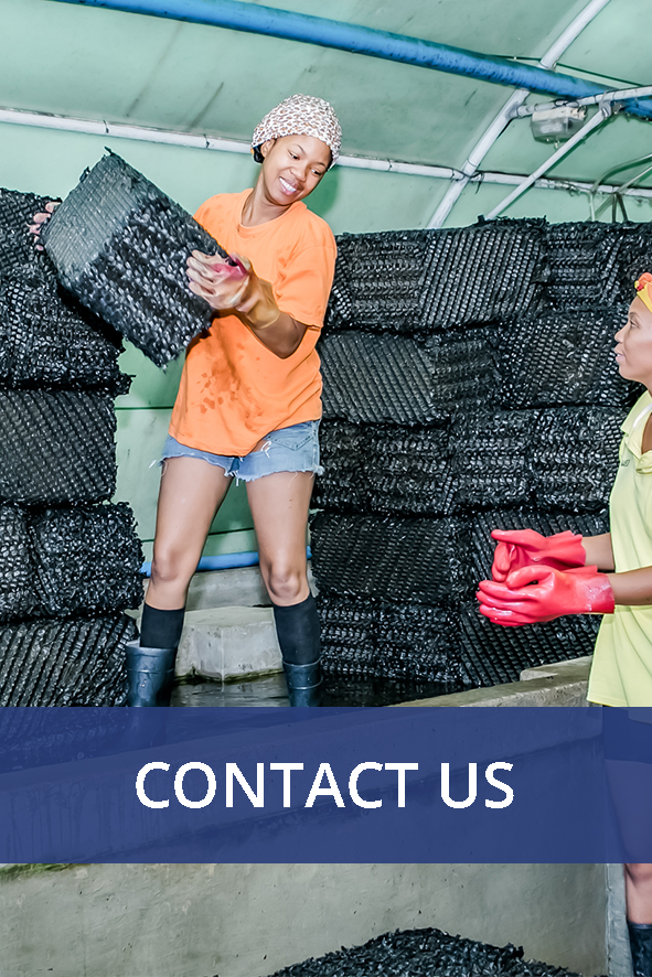 Karoo Catch a community based empowerment & food security company